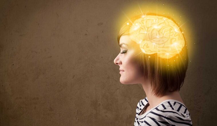 Importancia de alimentar la mente - HazloYA.mx Desarrollo personal Importancia de alimentar la mente - HazloYA.mx Desarrollo personal